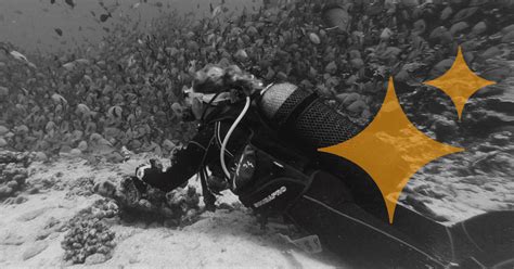 Semantic Similarity With Focused Selectivity The Couchbase Blog