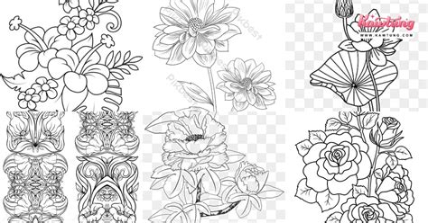 ภาพระบายสีดอกไม้อนุบาล รวมข่าวสาระเกี่ยวกับ ภาพระบายสีดอกไม้อนุบาล ติดตามเทรนด์ หน้า 1