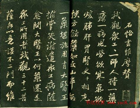 苏轼书法精品《三希堂法帖第十二册》 第5页 苏黄米蔡书法欣赏