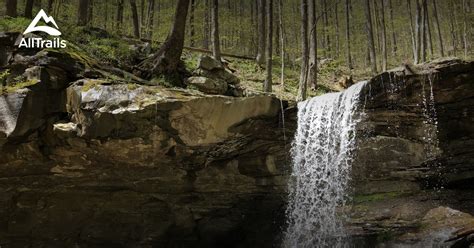 Best Trails In Frozen Head State Park Tennessee Alltrails