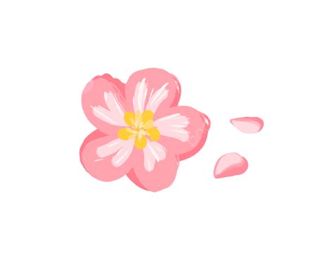 분홍색 벚꽃 벡터 그림 일러스트 을 손 으로 그리다 손으로 그린 꽃들 봄 Png 일러스트 및 Psd 이미지 무료 다운로드 Pngtree