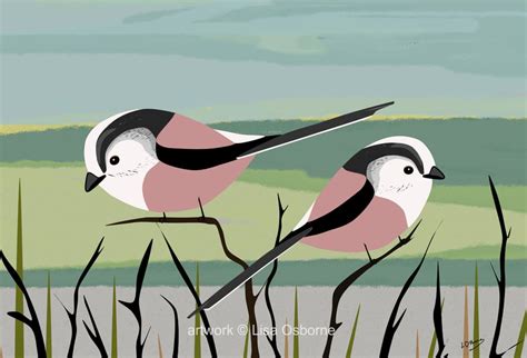 Long Tailed Tits Bird Art Print Garden Birds Folksy