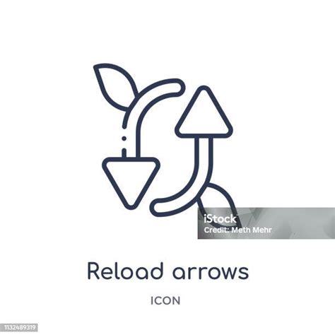 생태 개요 컬렉션에서 선형 다시 로드 화살표 아이콘 얇은 라인 다시 로드 화살표 벡터 흰색 배경에 고립 새로고침 화살표 유행 그림 날씬한에 대한 스톡 벡터 아트 및 기타