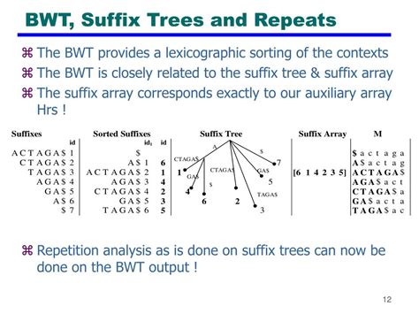 ppt dna sequence compression using the burrows wheeler transform