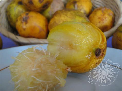 Cocina Costarricense Yuplón O Jobo