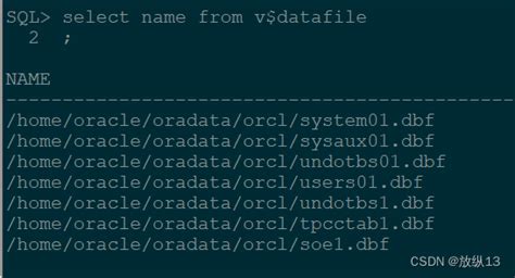 将数据文件、控制文件、日志文件放在不同文件夹下并正常启动oracle Csdn博客