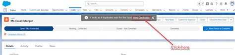 How To Merge Duplicate Leads In Salesforce