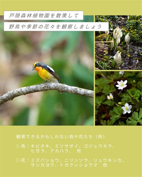 一般社団法人 戸隠観光協会 一般社団法人 戸隠観光協会 Added A New Photo