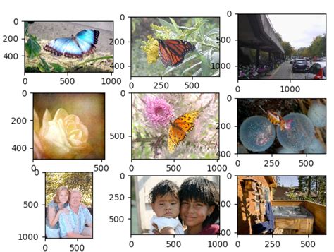 One Class Classification For Images With Deep Features By Aniket