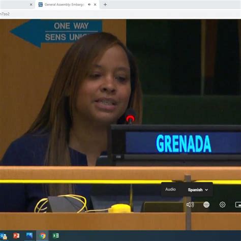H E Keisha A Mcguire Permanent Representative Of Grenada To The