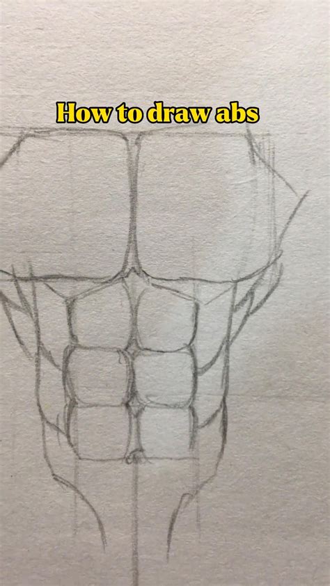 How To Draw Abs Artofit