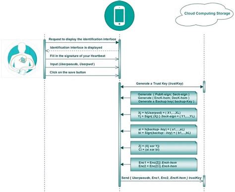 Identification Phase Download Scientific Diagram