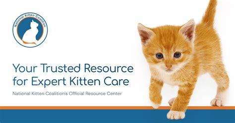 Kitten Age Chart Nkc Library