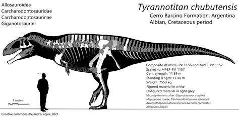Tyrannotitan Skeletal By Jadl1 On Deviantart