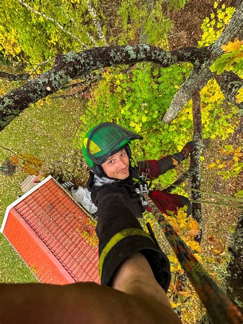 Tormod Eggen On Linkedin Jack Of All Trades Master Of None Is My Overall Answer For For The