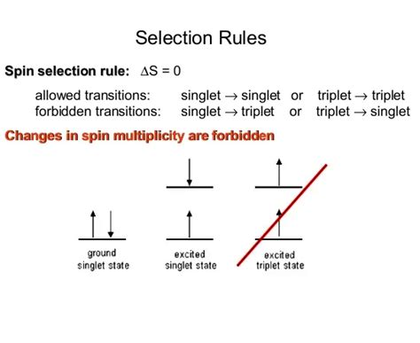 Spin Selection Rules And The Permanency Of Magnetic Charge Of The