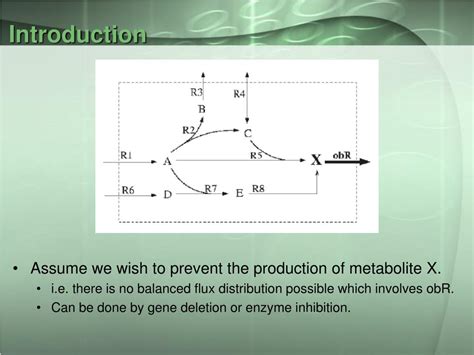 Ppt Computation Of Elementary Modes In Bioinformatics Seminar Powerpoint Presentation Id4254442
