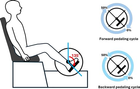 Frontiers Comparison Of Muscle Synergies In Walking And Pedaling The