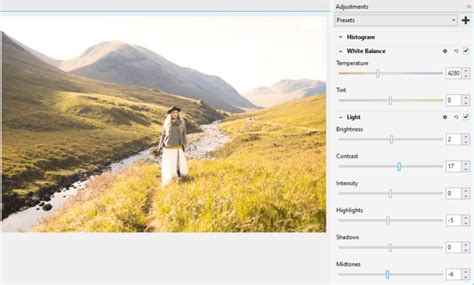 How To Use The Adjustments Docker Corel Discovery Center