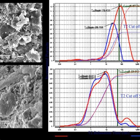 Pdf Standardization Of Nmr T2 Cut Off And Better Electrofacies Modelling Of Low Resistivity