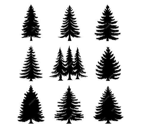 Pine Tree Outline Vector Art Pine Tree Silhouette Premium Ai