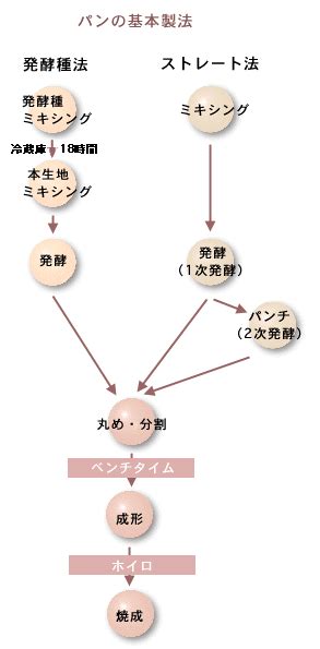 辻調理師専門学校： 基本技法・パンの基本製法について