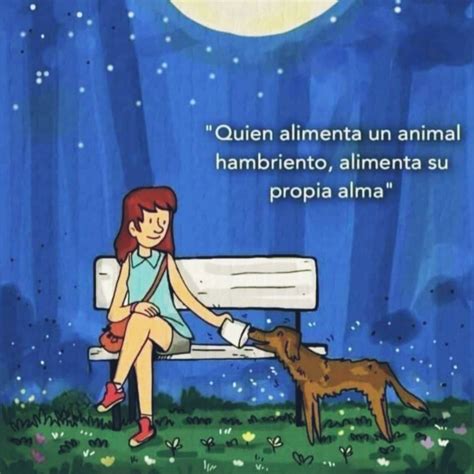 Alimenta tu alMa Imágenes divertidas de perros Perros frases Amor