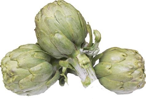 Alcachofa1png