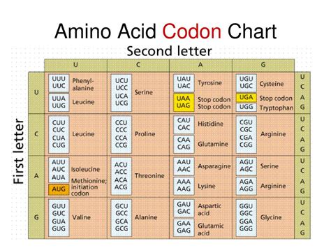 Translation Notes Ppt Download