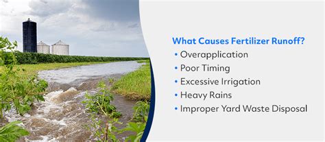 The Effects Of Fertilizer Runoff Multipure
