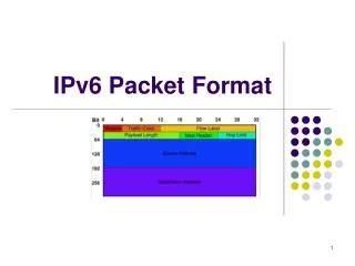 PPT IP Packet Format PowerPoint Presentation Free Download ID 6186859