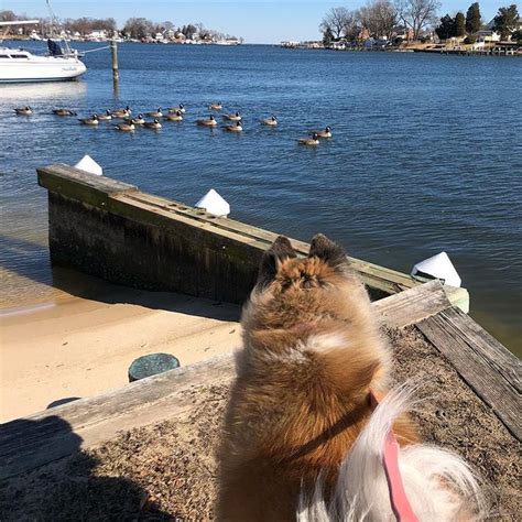 Dawn Meeka Smith Dawnmeekasmith • Instagram Photos And Videos Like