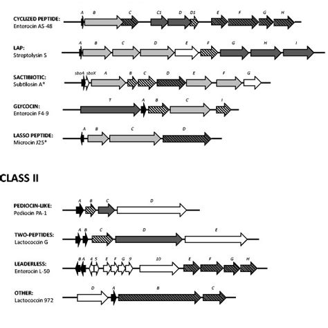 Proposed Classification Scheme For Bacteriocins And Their Structures