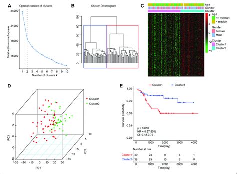 Clustering Analysis Of Osteosarcoma Samples Based On Mrna Levels Of