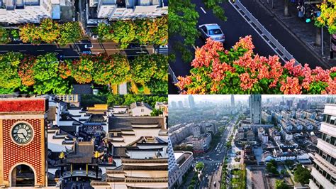 宁波最新4k鼓楼航拍 视频素材下载