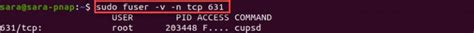 Fuser Linux Command With Examples Phoenixnap Kb