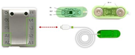 Getting Started Bitalino Electromyography Emg Sensor Support Plux Biosignals Official