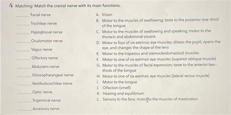 Solved Matching Match The Cranial Nerve With Its Main Chegg Com