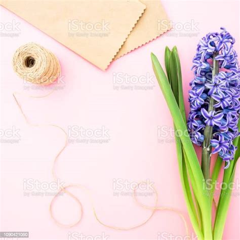 블루 히 아 신 스 꽃 크 래 프 트 종이 분홍색 배경에 꼬기 평면 위치 최고 볼 수 있습니다 0명에 대한 스톡 사진 및 기타 이미지 Istock