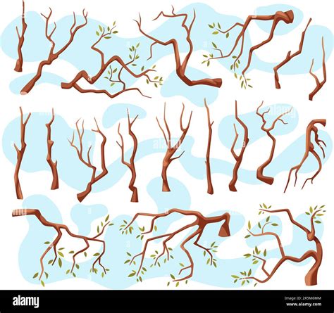 Wooden Branches Different Types And Shapes Of Tree Branches Exact Vector Cartoon Illustrations