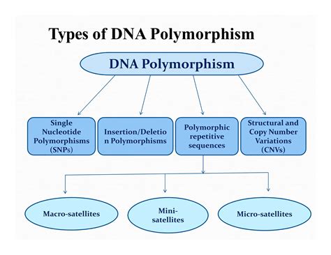 topic polymorphism at dna level cytogenetics ppt
