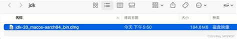 Mac 安装jdkjdk 20 Mac Csdn博客