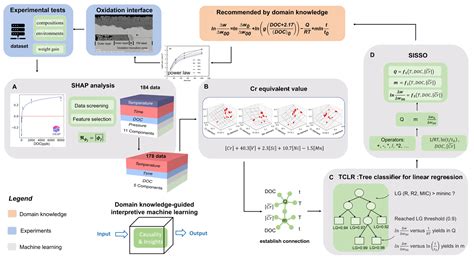 Domain Knowledge Guided Interpretive Machine Learning Formula Discovery For The Oxidation