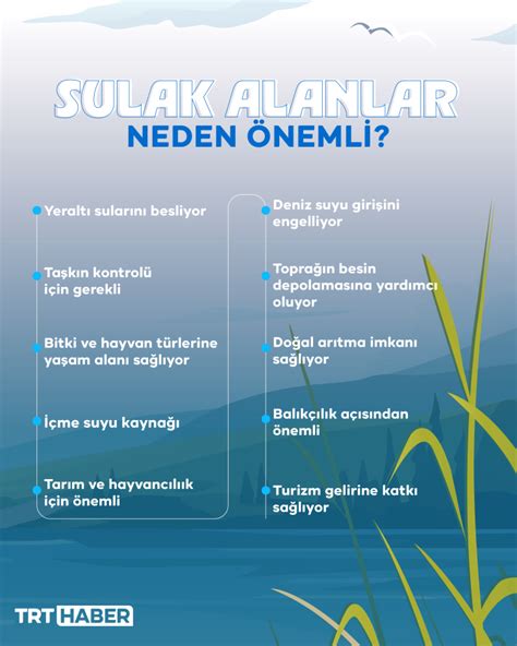 Türkiyede 131 Sulak Alan Koruma Altında Son Dakika Haberleri