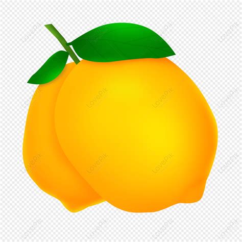 손으로 그린 사실적인 레몬 Png 일러스트 무료 다운로드 Lovepik