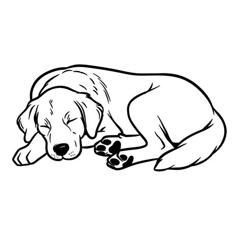 How To Draw A Dog In Python
