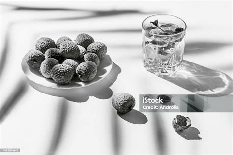 야자수 잎 그림자가 있는 흰색 배경에 레모네이드와 열매 과일이 있는 유리로 만든 창의적인 정물 구성 여름 다과 개념입니다 흑백 0명에 대한 스톡 사진 및 기타 이미지