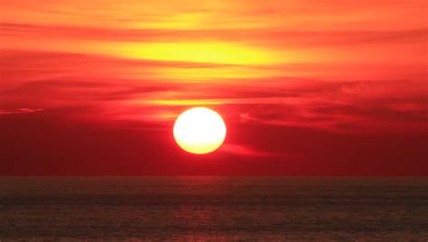 Neural Network For Continuous Heisenberg Picture Optimization 1