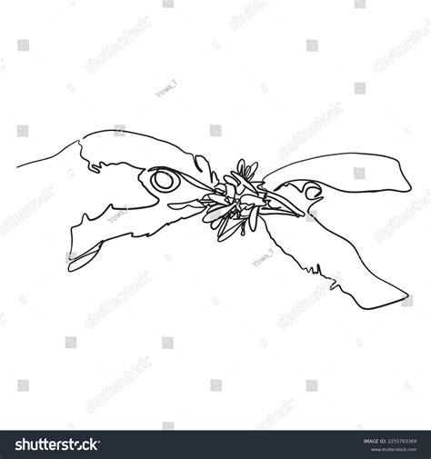 One Line Drawing Bird Vector Illustration Stock Vector Royalty Free Shutterstock