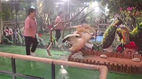 This Pellican Album On Imgur